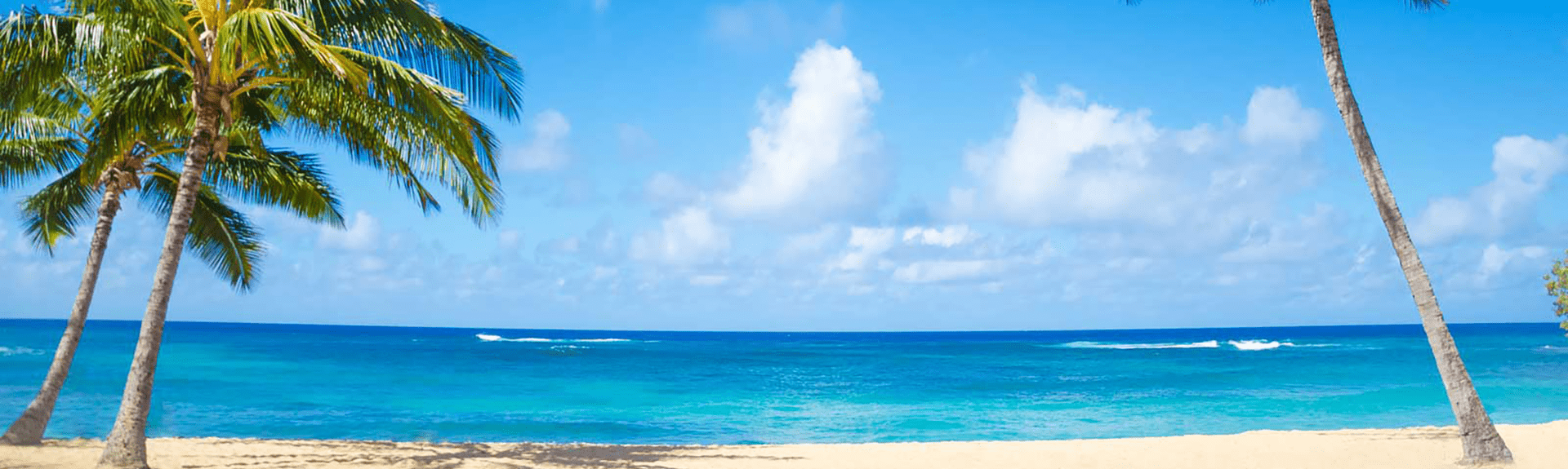 FLORIDA BEACH SLIDER -min – HelpVet